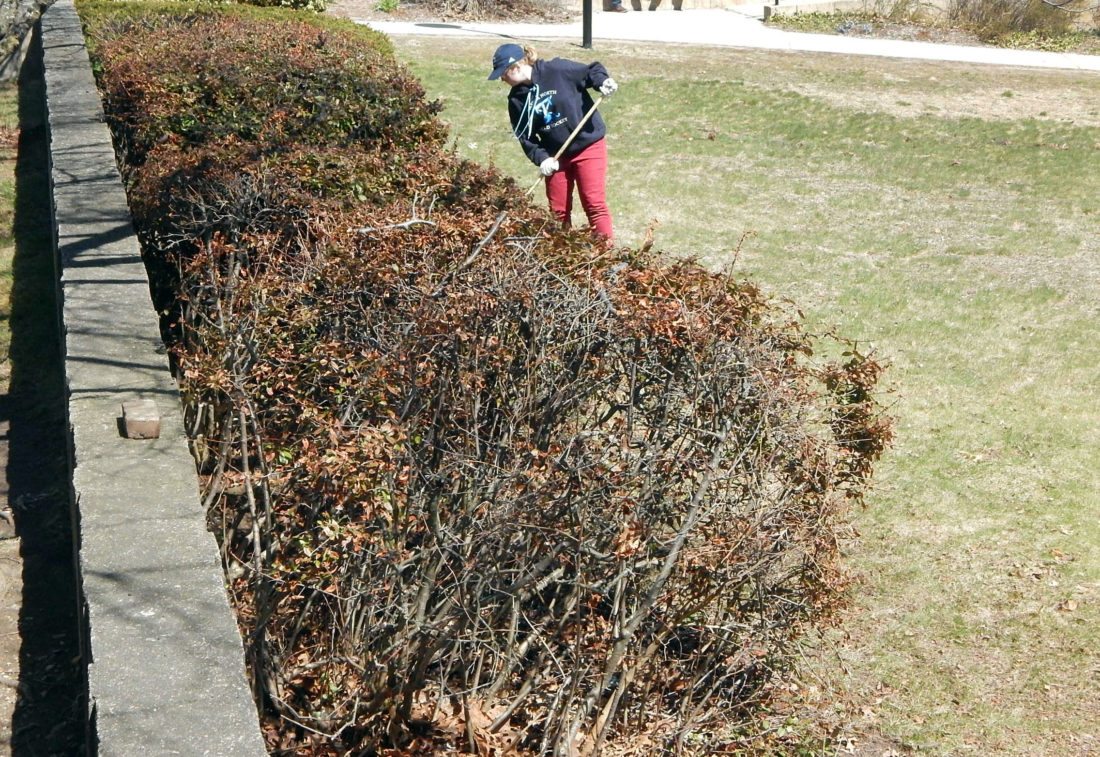 Tidying-Up : Volunteers help clean local parks | News, Sports, Jobs ...